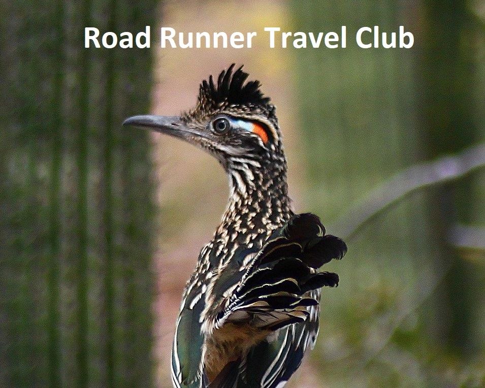 Dan Dipert Tour Documents